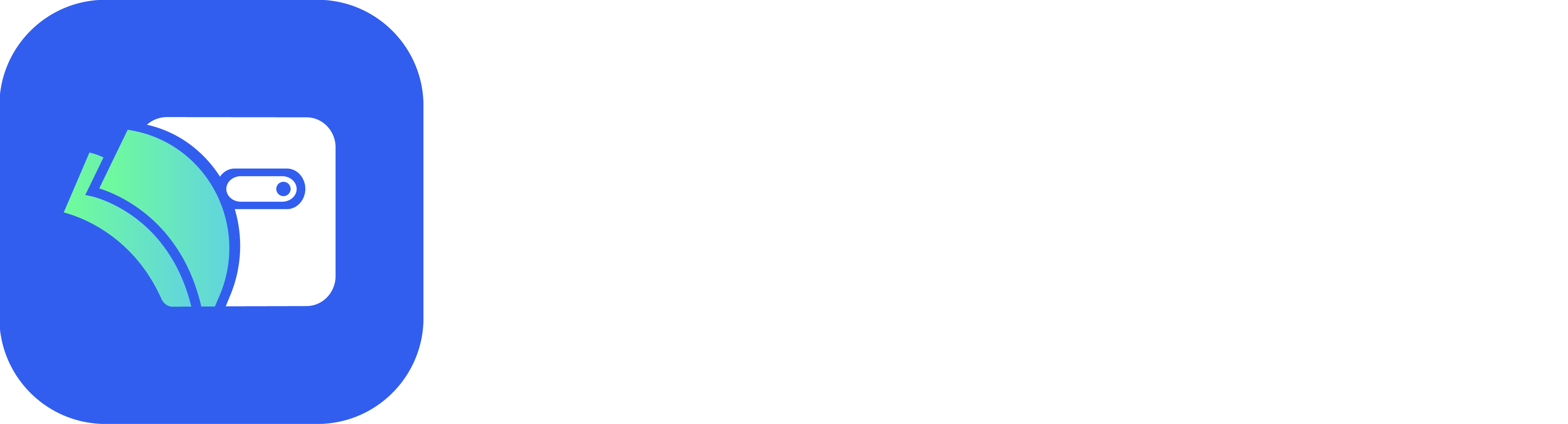 Falanga | Mercados Cambiais e Financeiros